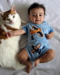 Cats And Baby