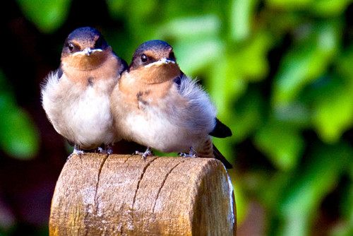 The planet @ postjung 2#