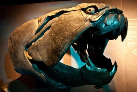 Top 5 Terrifying Prehistoric Sea Monsters